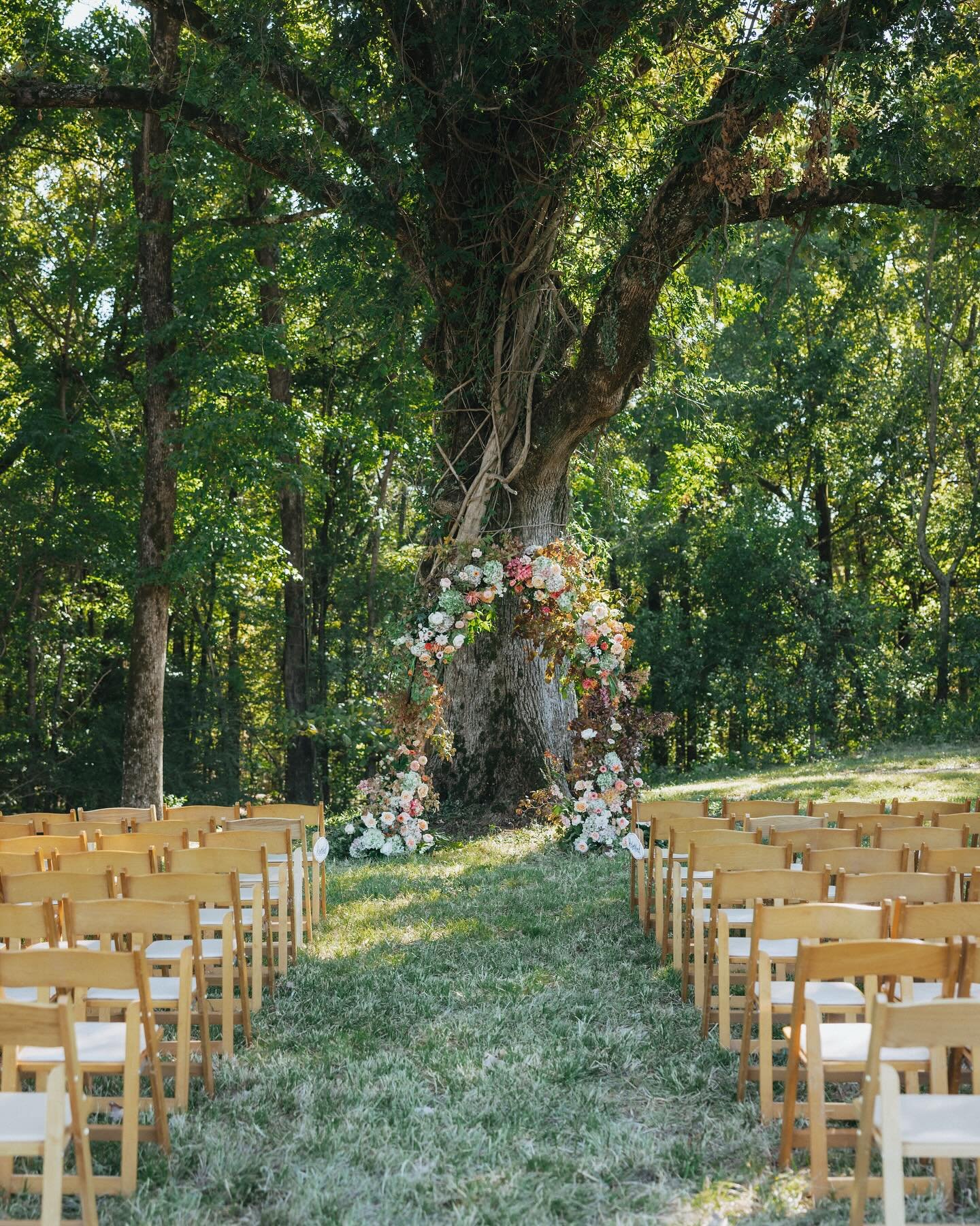 A Vibrant Fall Wedding: From Family Tunes To Pup-Crafted Cocktails ...