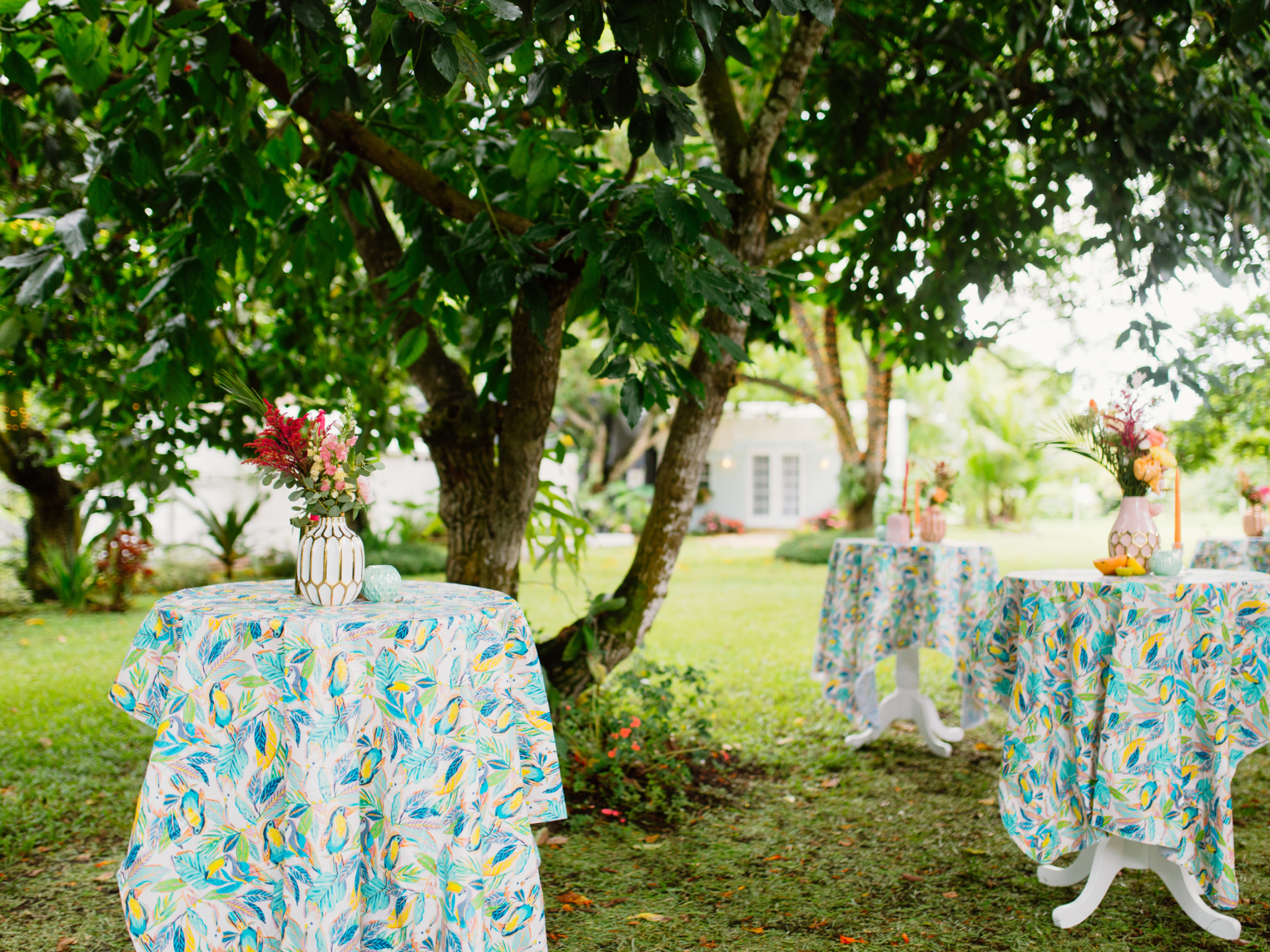 Peyton & Bailey’s Bright Boho Celebration - Wed Society® | Miami ...