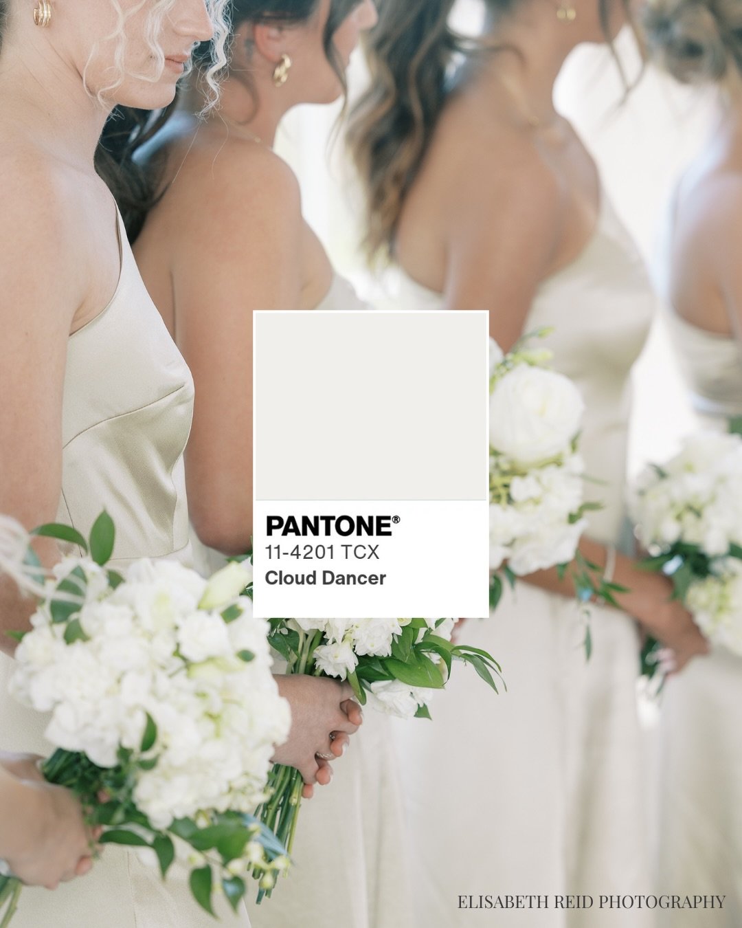 Bright Event Rentals - Wedding Decor & Rentals - Wed Society North Texas