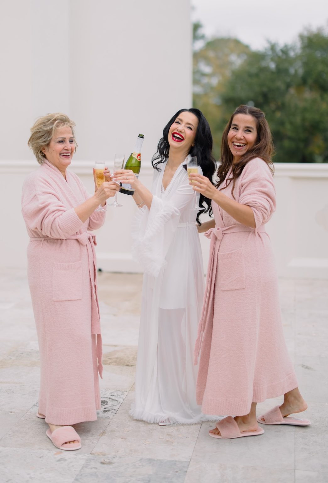 Mahta & Amir’s Winter Wedding - Houston Wedding Planning Made Easy ...